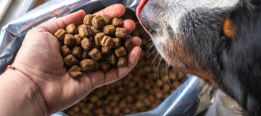 [INFOGRAPHIC] pet-food-packaging