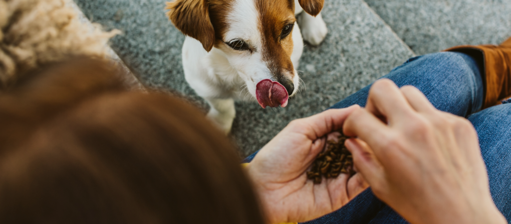 Custom Pet Food Packaging Features | Belmark - Belmark, Inc.